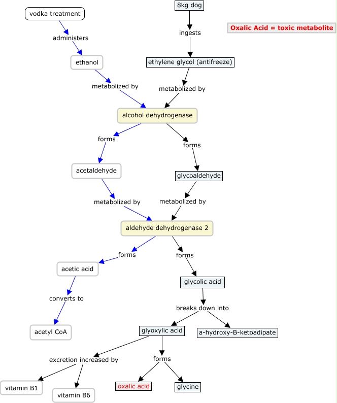 Ethylene Glycol Poisoning